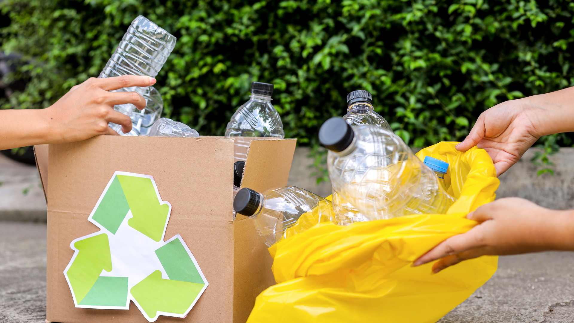 Top 10 Waste Recycling Companies in London | Waste Solutions
