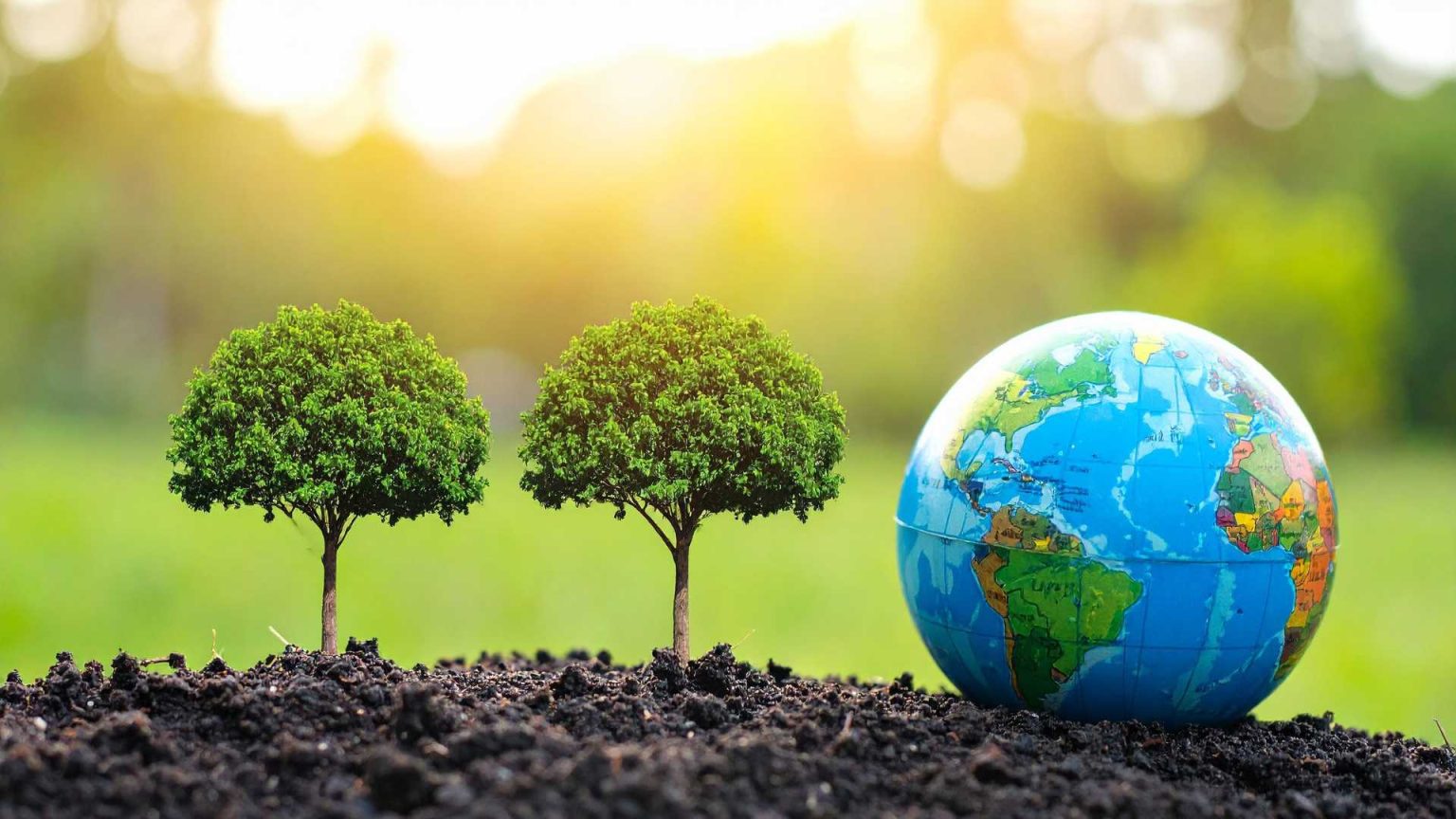 Top 10 Environmental Consulting Companies in London | Eco Solutions