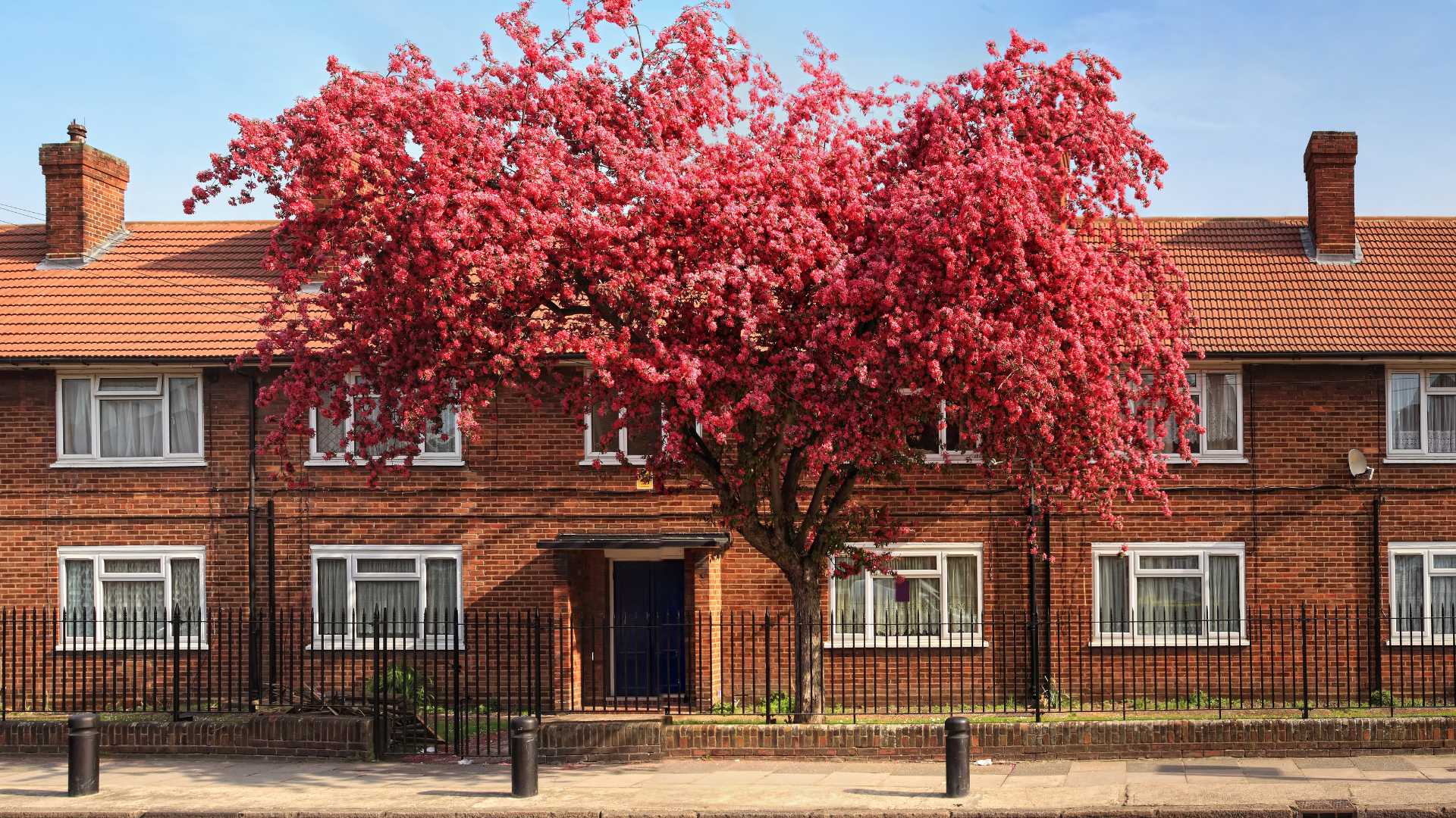 Top 10 Masonry Companies in London | Heritage Experts